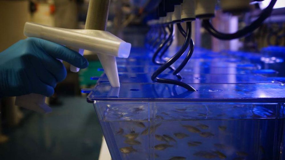 ADL refuerza su presencia en EE.UU gracias a la filial Biobide