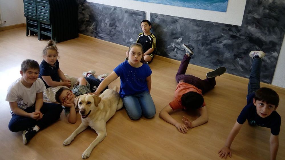 Perros para hacer más fácil la vida de las personas con síndrome de down