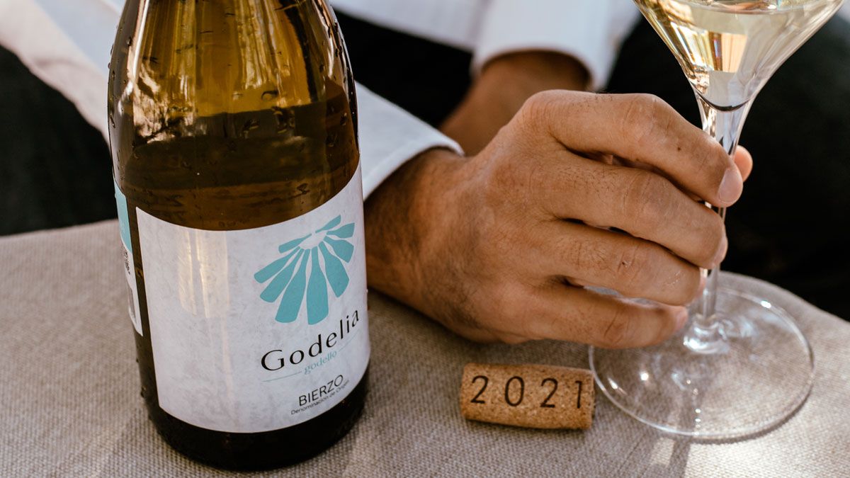 Un Godello del Bierzo, entre los mejores vinos blancos del año