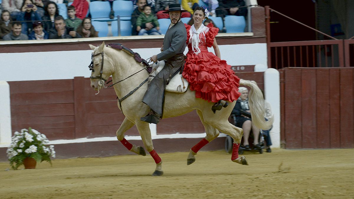 El caballo o el más bello todavía