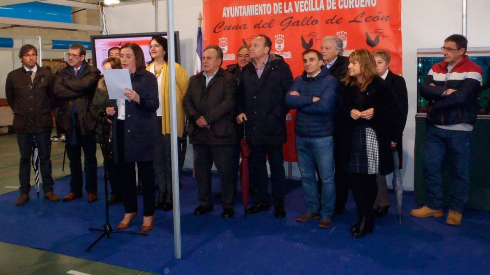 La Feria del gallo de pluma para pesca regresa a La Vecilla