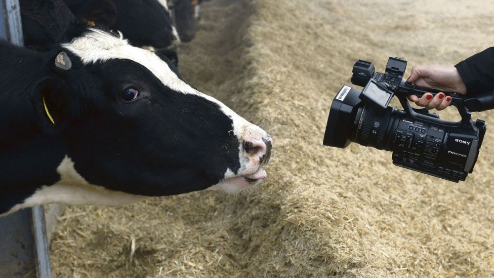 Algo tendrá que decir