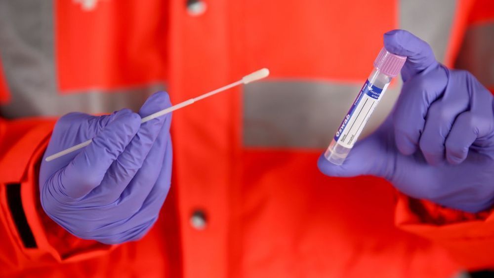 La ULE lidera un ensayo clínico sobre la eficacia del test rápido de ...