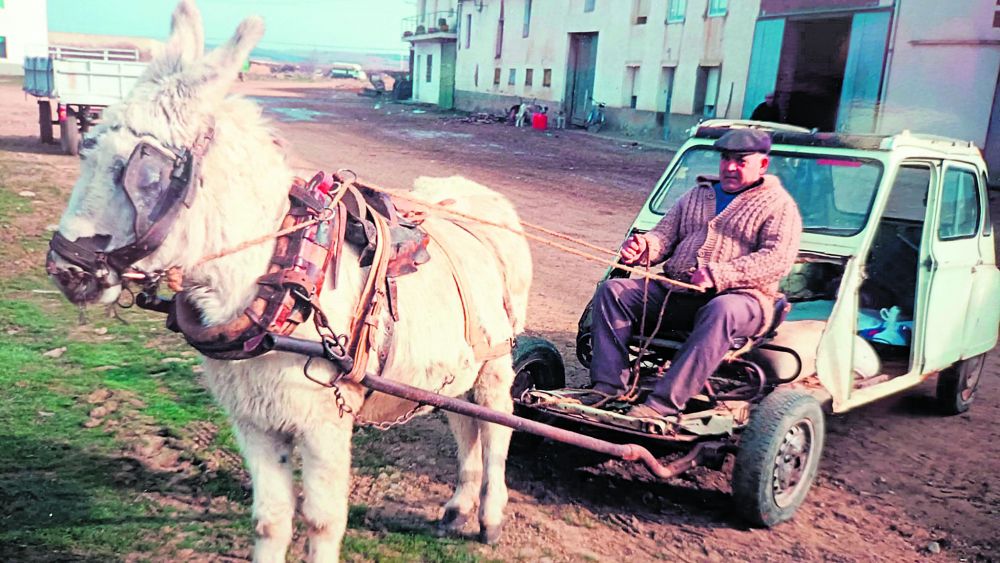 "¡Arre burro con ruedas!"