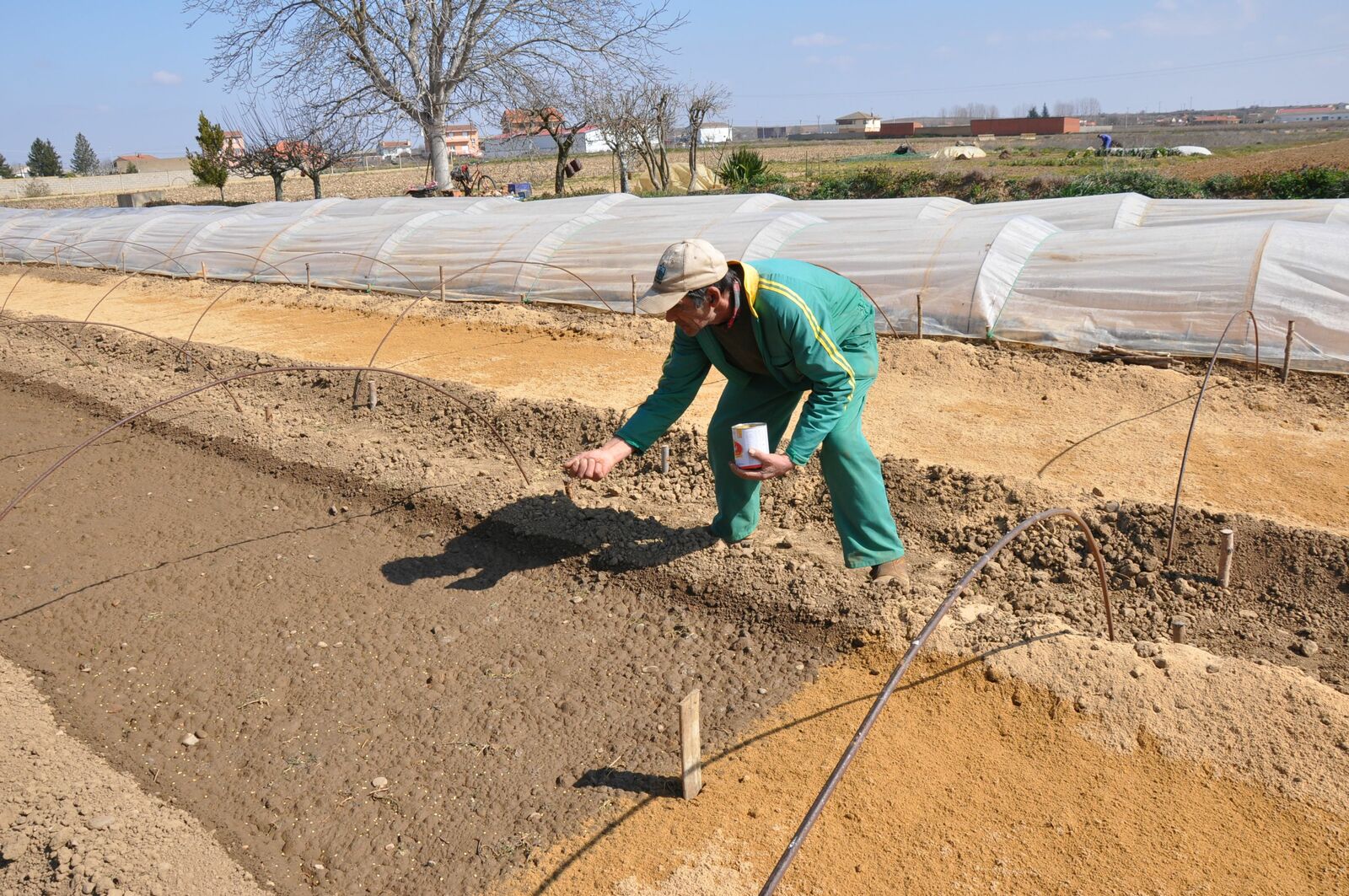 Semilleros y bancos de semillas para pasar el invierno Cerezales del ...