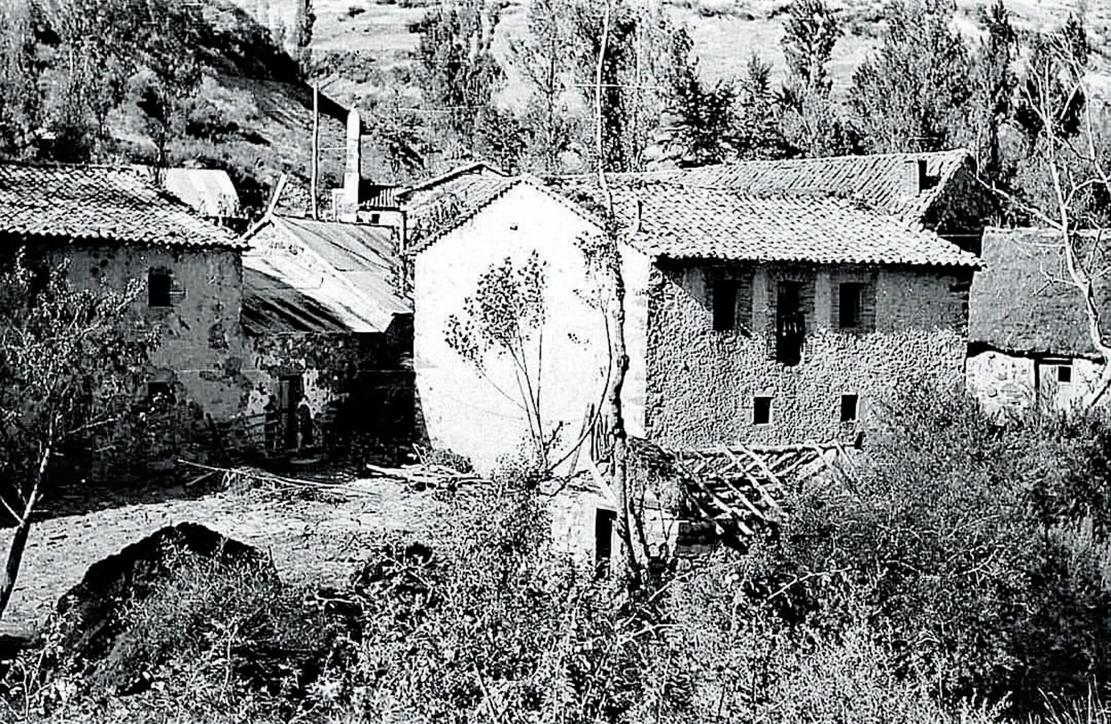 La importancia de llamarse Tonín