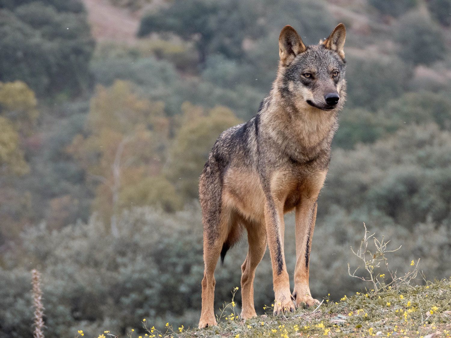 La Universidad de León analizará el marco legal para la conservación ...