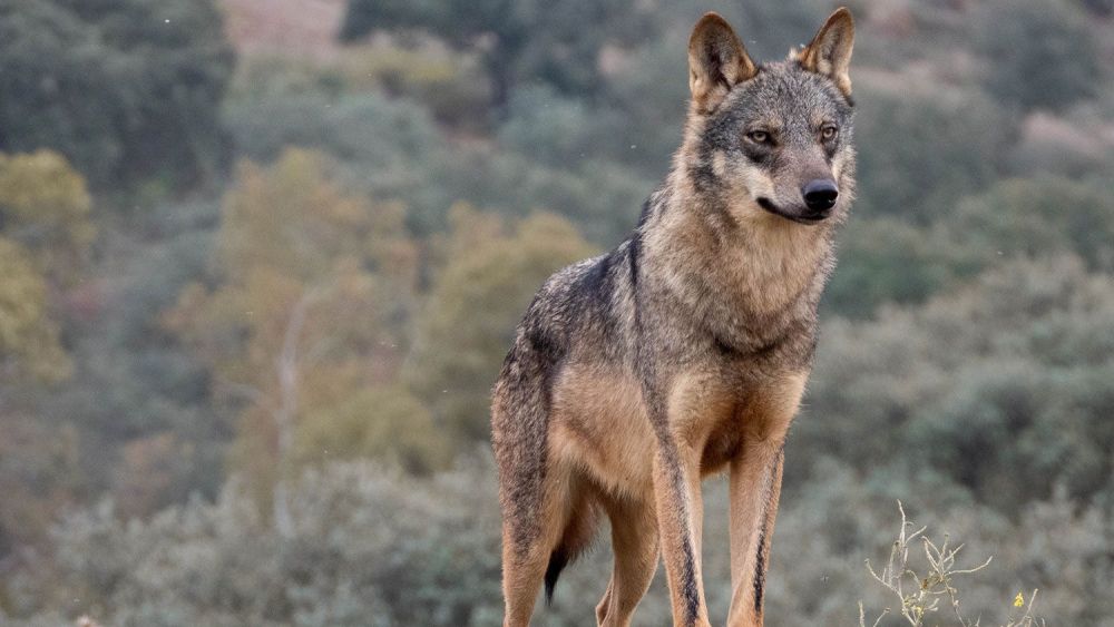 La Universidad de León analizará el marco legal para la conservación ...