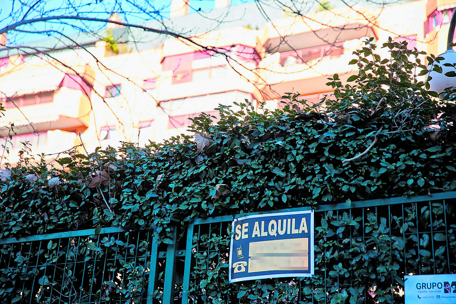 El 24% de las viviendas de León capital se alquilaron en 24 horas