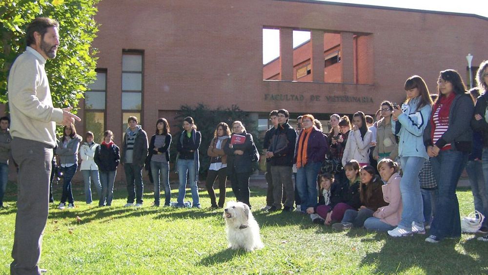 Lucky es el primer perro español en lograr la Palm Dog de Cannes