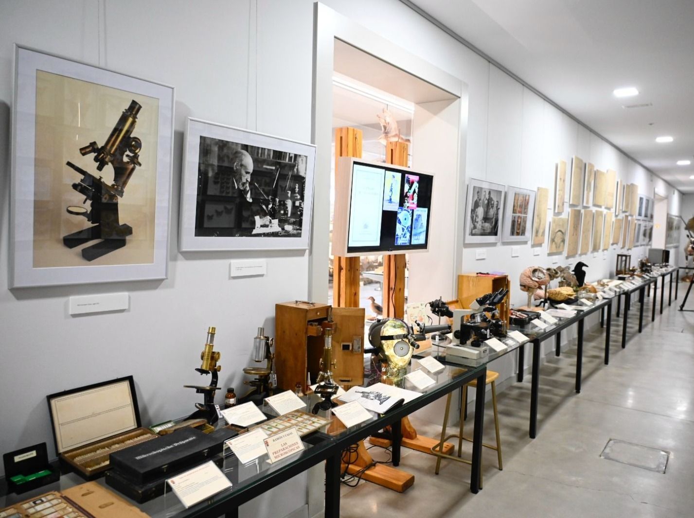 León reconoce a Ramón y Cajal con una exposición y una charla para ...