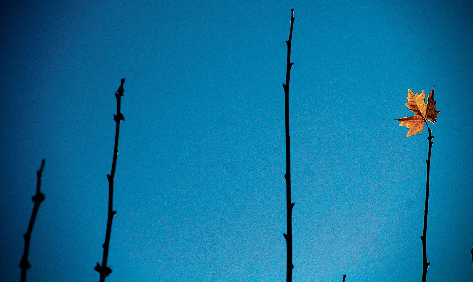 Difícil creer en la primavera