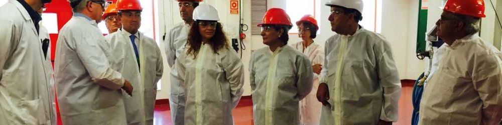 El día en 1:00 minuto