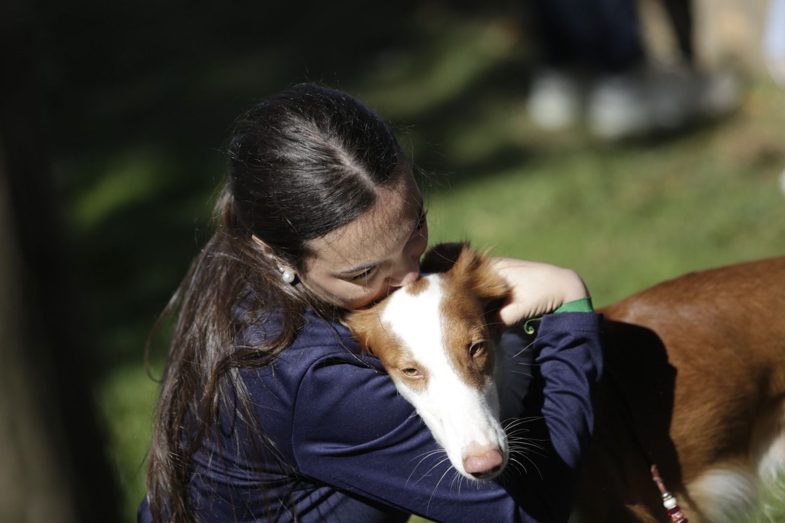 Exposición canina de Razas Españolas en Astorga
