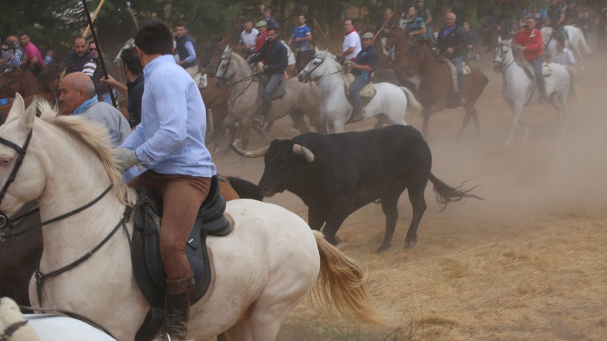 La lluvia marca el primer festejo del Toro del Peña en Tordesillas