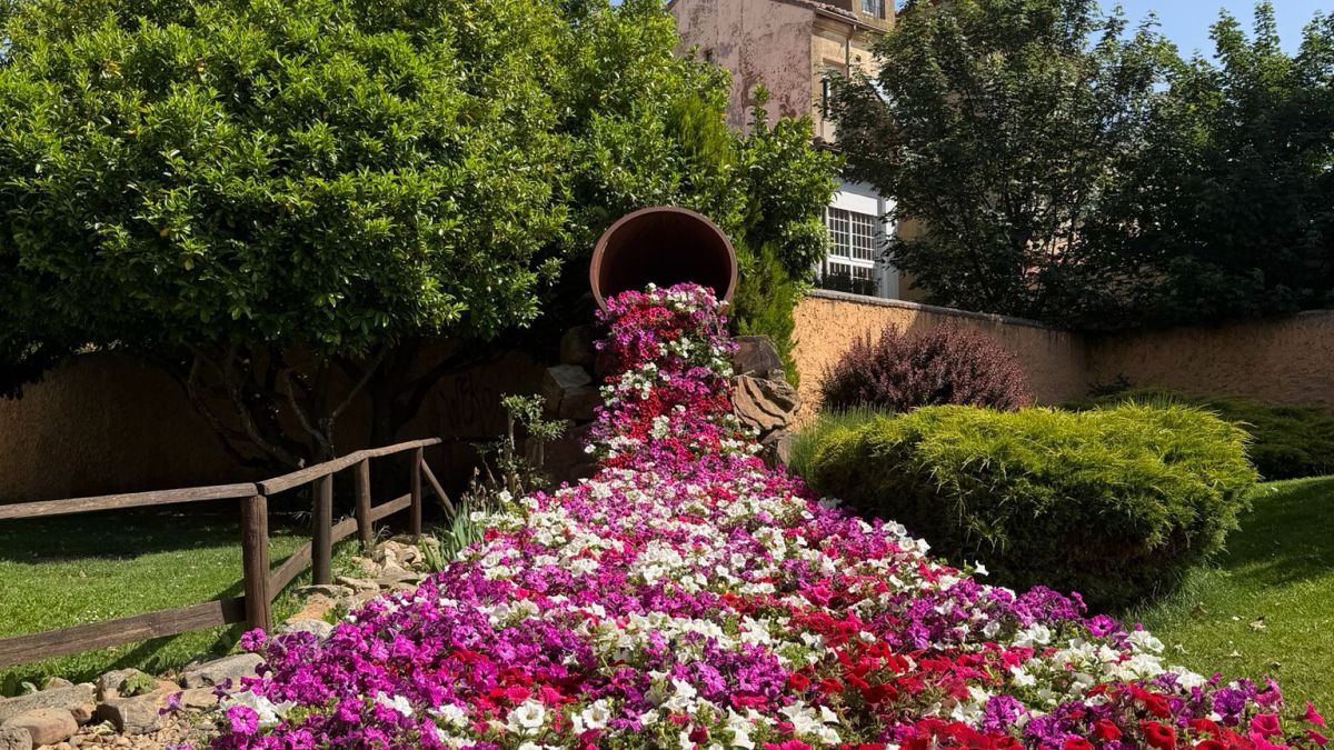 Astorga busca consolidarse como 'ciudad de las flores' para conquistar ...