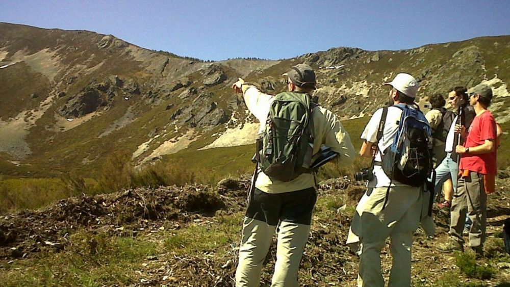 Un capote a la Reserva de Ancares