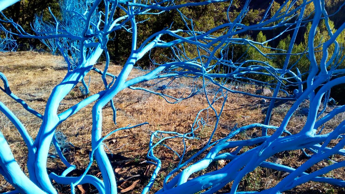 El arte convierte la devastación en sueños