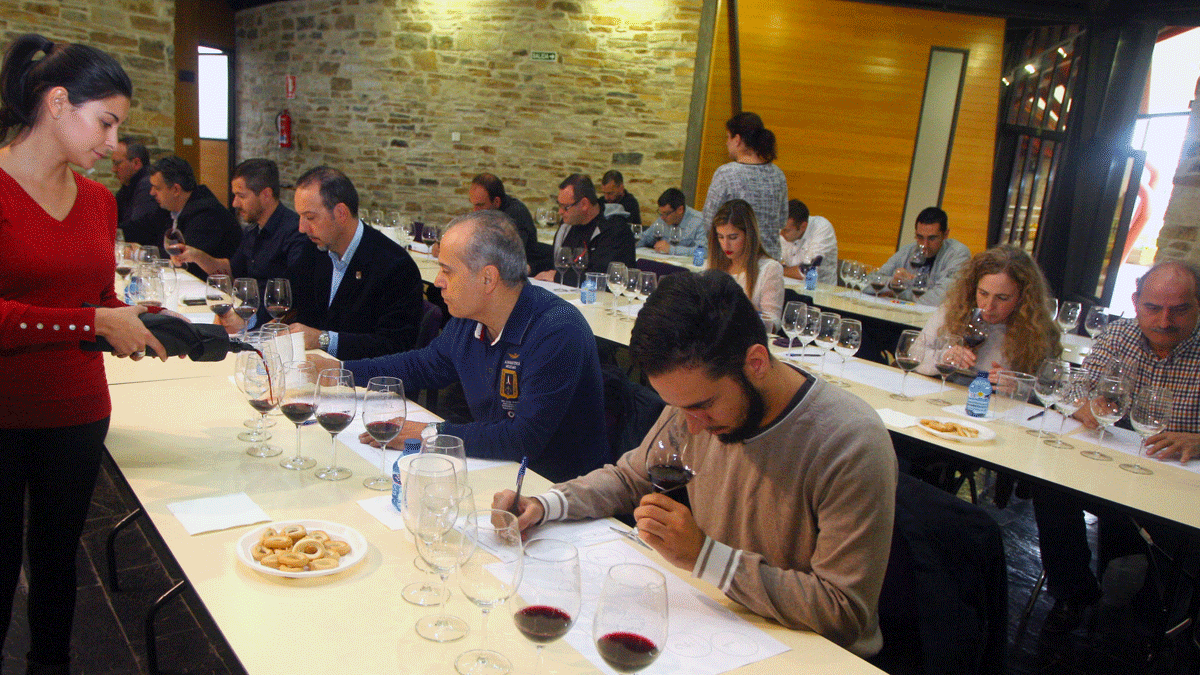 Los Vinos Bercianos Comienzan 2017 De Viaje A Suiza Su Segundo Mercado