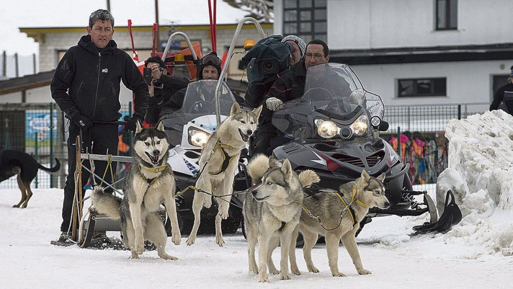 Esquiando con perros