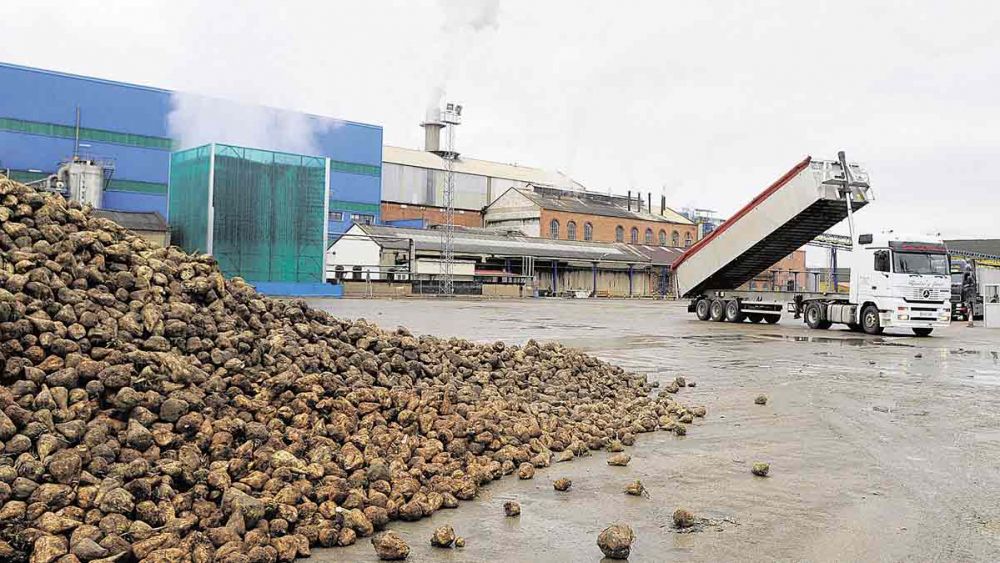 Azucarera no cambiará el rupro pero muestreará cada camión
