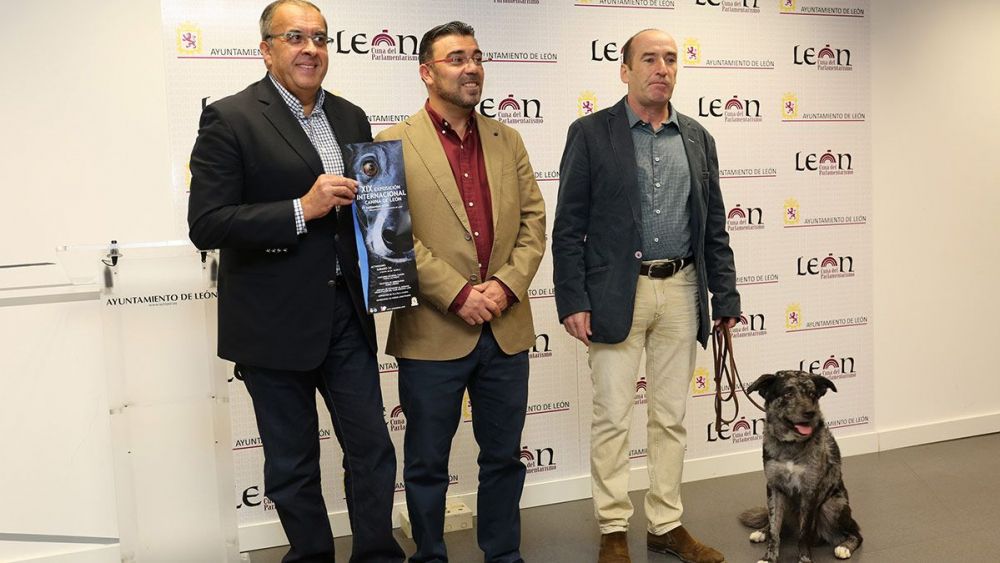 León, capital canina