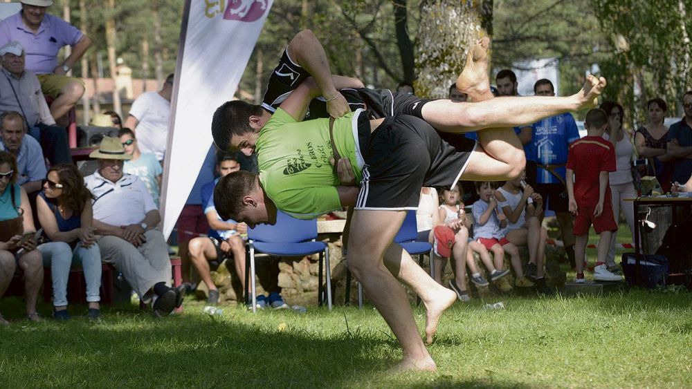 Como el mulo del madreñero