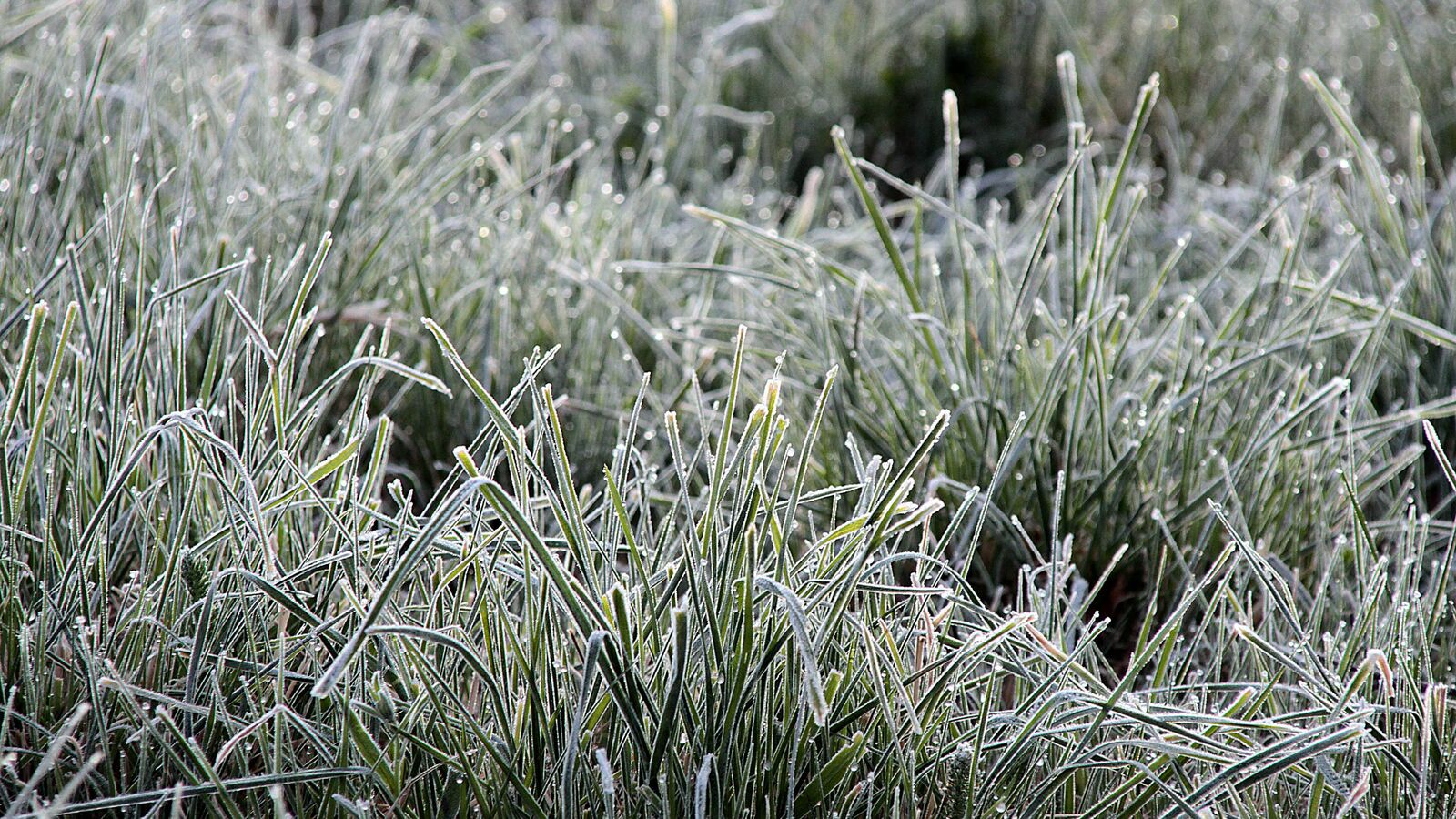 Madrugada por debajo de los tres grados en varios puntos de la provincia