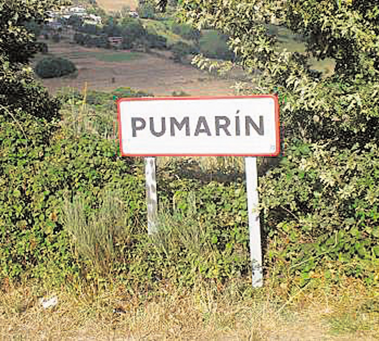 El sueño concedido...A las perseidas de Pumarín